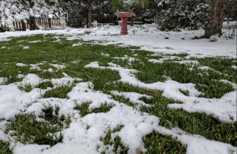 How To Care For Your Artificial Turf In Winter Weather | ☎️Artificial ...